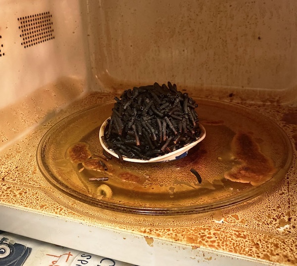 It's safe to assume this food didn't turn out as intended