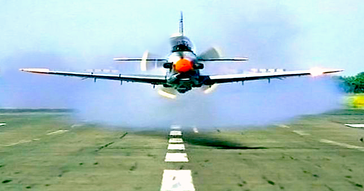 Daily Afternoon Randomness Best Funny Photos Sexy Chivette Girls DAR