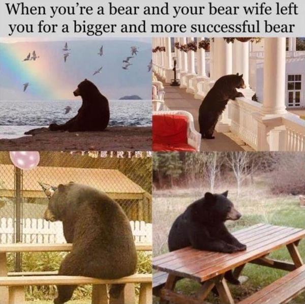 Mind-LESS Memes Best Stupid Funny Logic Photo Captions Morning Wisdumb