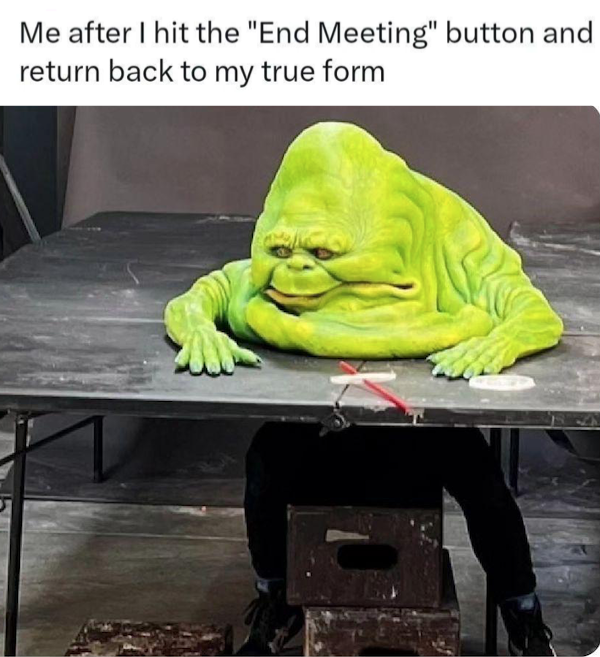 Mind-LESS Memes Best Stupid Funny Logic Photo Captions Morning Wisdumb