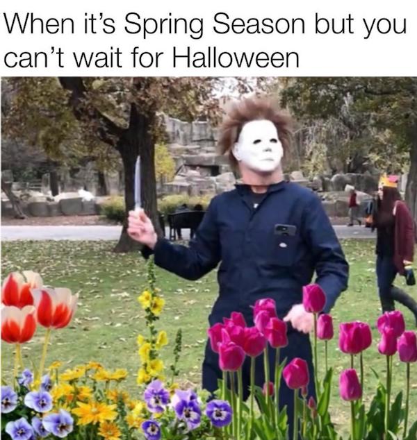 Mind-LESS Memes Best Stupid Funny Logic Photo Captions Morning Wisdumb