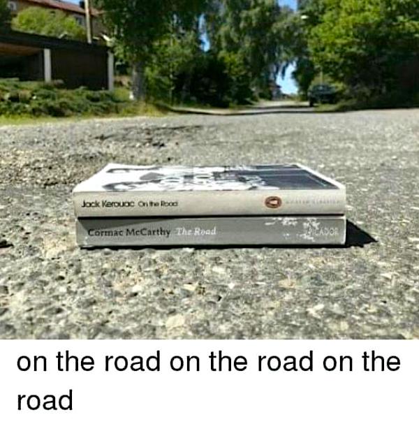 Mind-LESS Memes Best Stupid Funny Logic Photo Captions Morning Wisdumb