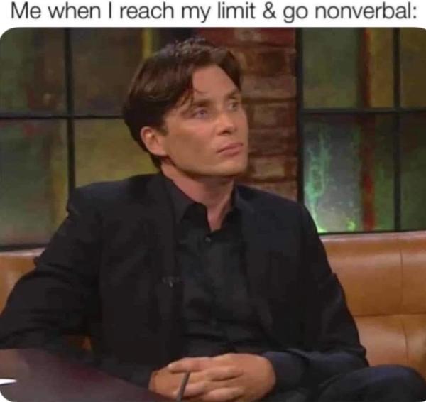 Mind-LESS Memes Best Stupid Funny Logic Photo Caption 2024 New Picture