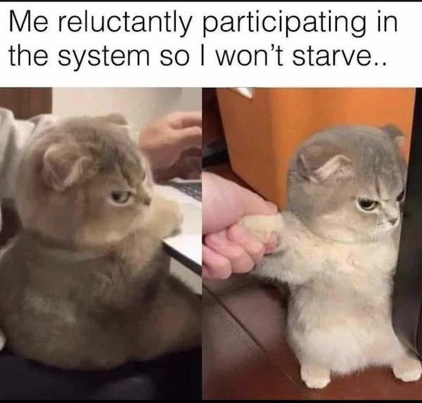 NAILed IT Memes Stupid yet Funny Photo Captions are Too TRUE