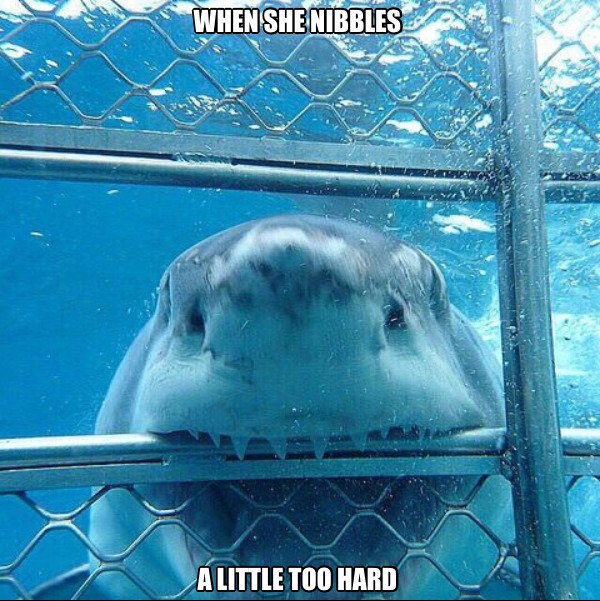 PG-13 Memes for Dirty Minded R-rated SFW funny Photo Captions Pictures