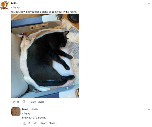 Hilarious commentary curated from theCHIVE's comment section