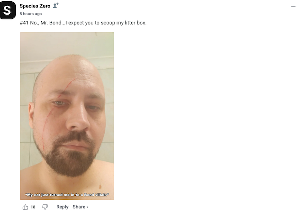 Hilarious commentary curated from theCHIVE's comment section