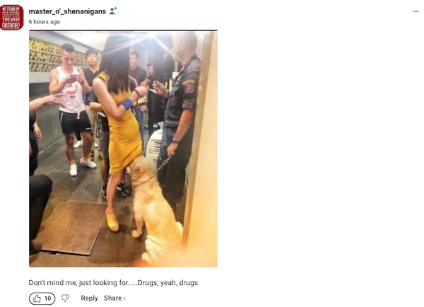 Hilarious commentary curated from theCHIVE's comment section