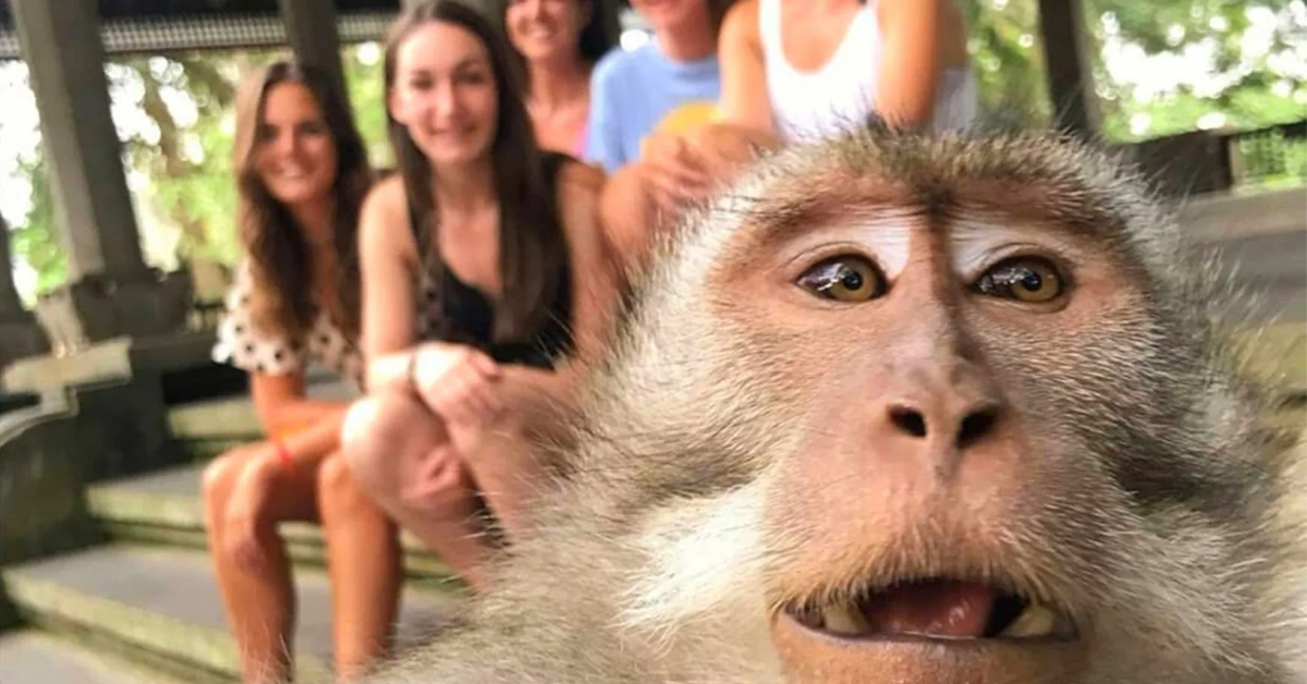 Funny Animal Pictures | Funny Pet Videos - theCHIVE