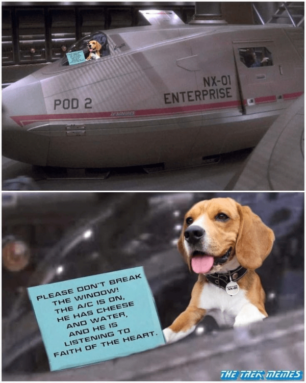 Trek Memes: The Next Generation