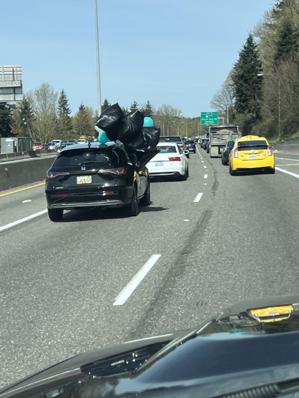 Now That’s How You Lose Your License