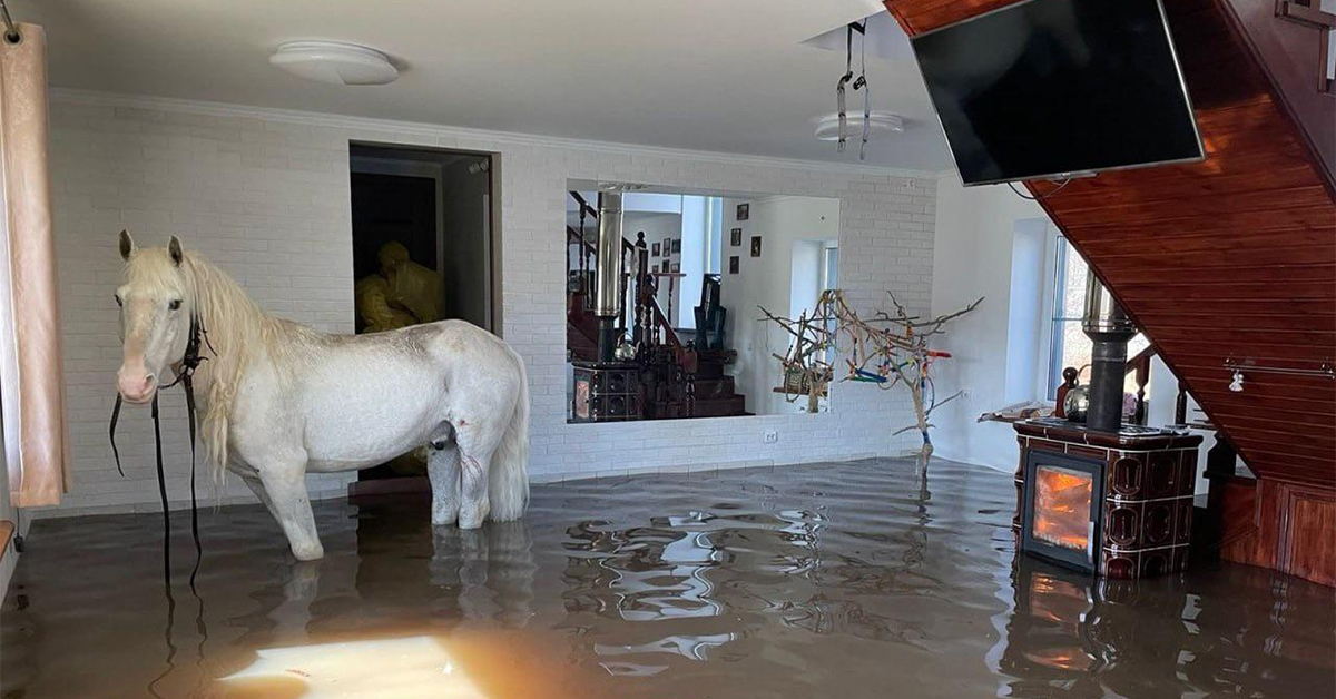 theCHIVE - Funny Pictures, Photos, Memes & Videos – theCHIVE.com