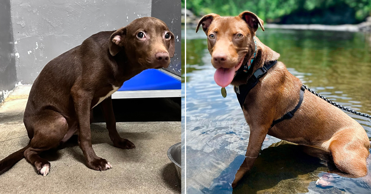 HD Pictures & Images | Top High Resolution Images - theCHIVE