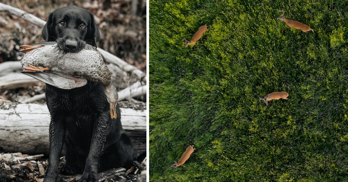 Hi-res hunting photos that make us want to touch some grass