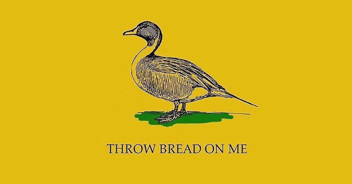 theCHIVE - Funny Pictures, Photos, Memes & Videos – theCHIVE.com