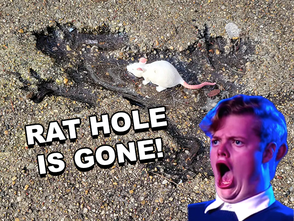 News Round-up: Animal Edition