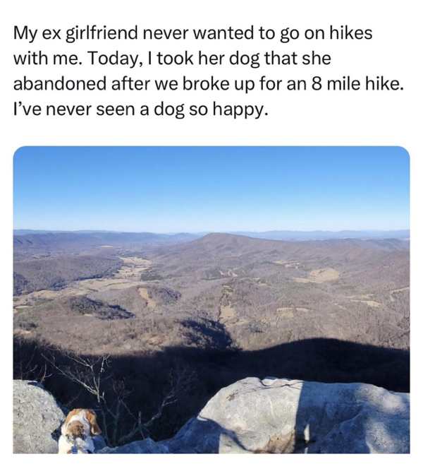 Wholesome memes will make you feel all warm and fuzzy inside
