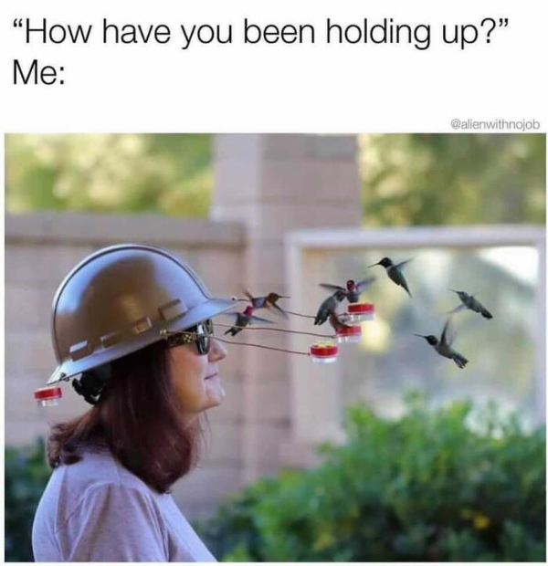 Nature Can Be Funny Sometimes