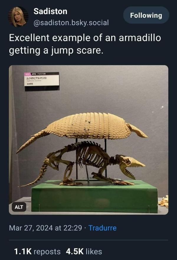 Nature Can Be Funny Sometimes