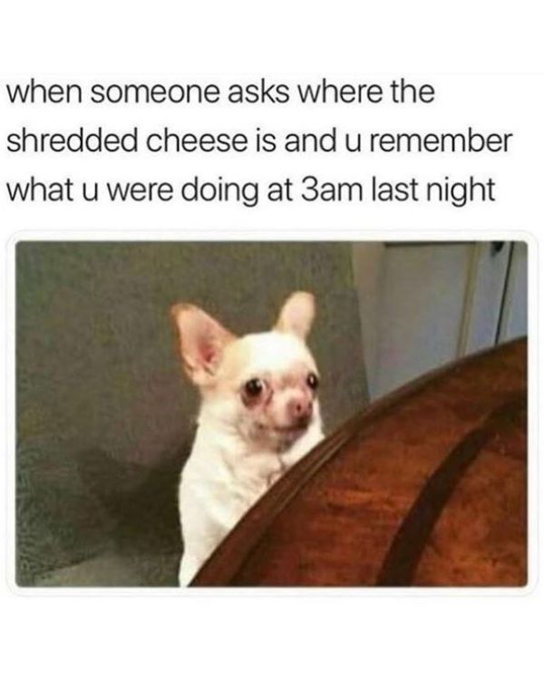 These Cheese Memes Are The Goat…Cheese (16 Photos)