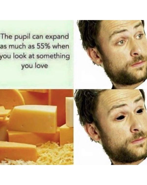 These Cheese Memes Are The Goat…Cheese (16 Photos)