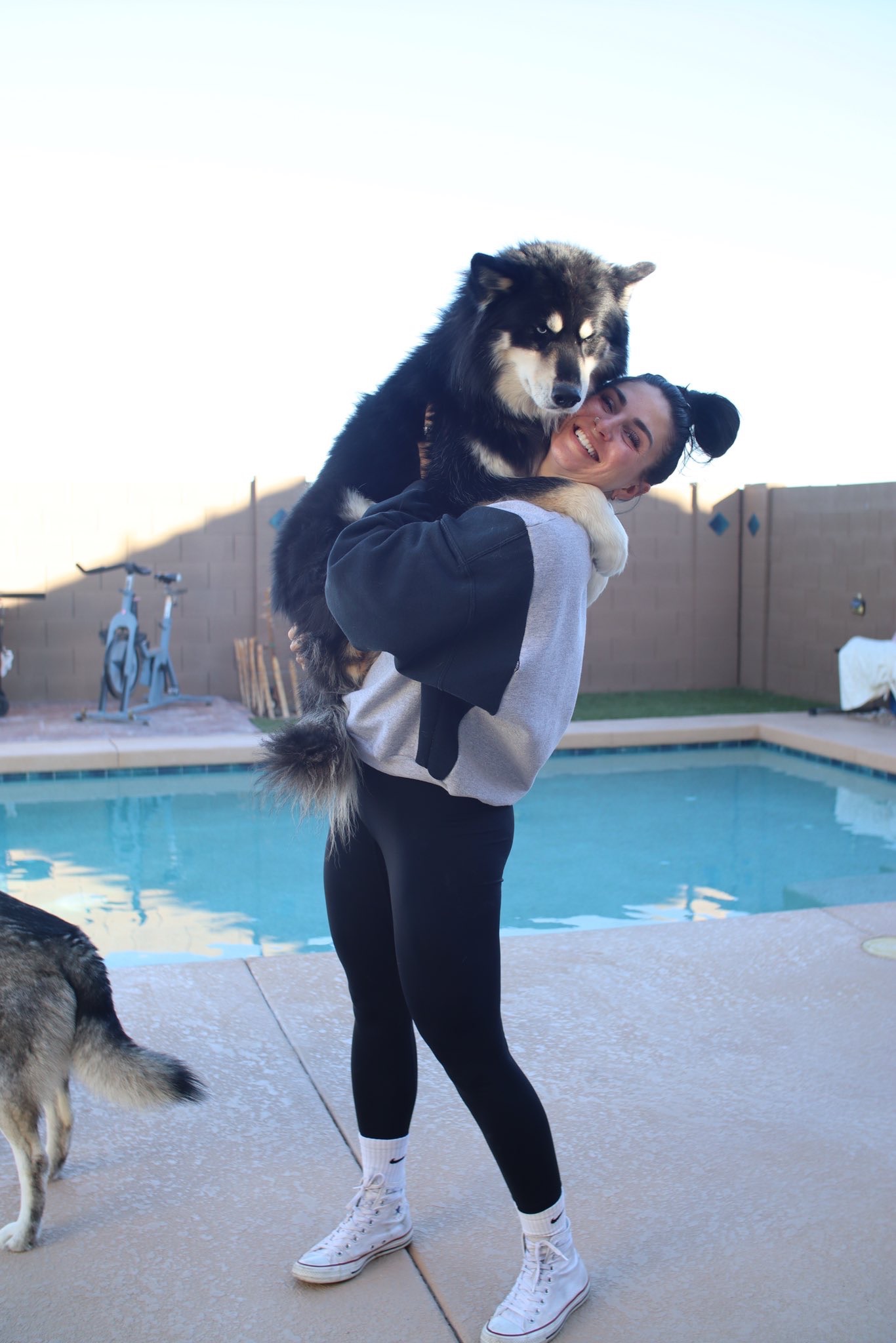 The Dogs Are Out and I’m Lovin’ It