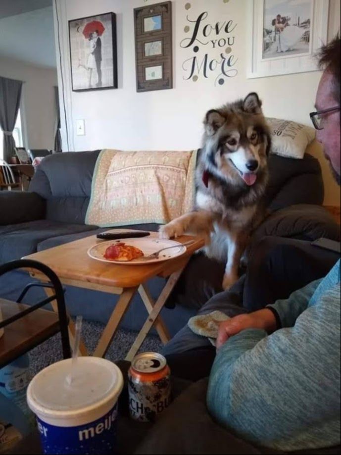 The Dogs Are Out and I’m Lovin’ It