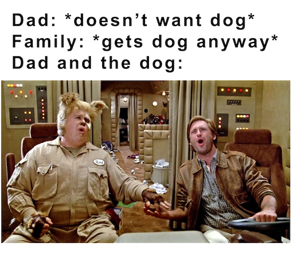 Spaceballs memes celebrating 'May the Schwartz be 5th You'