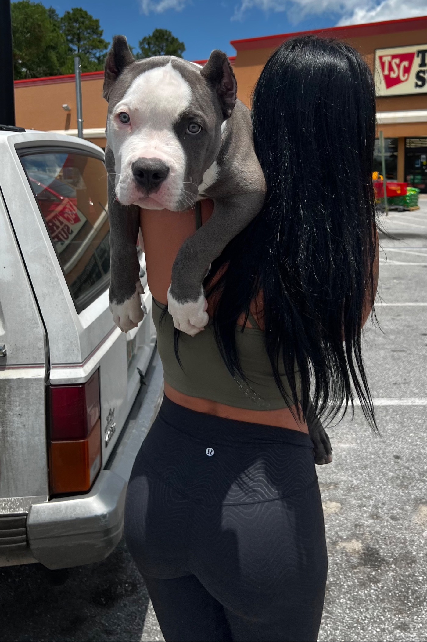 The Dogs Are Out and I’m Lovin’ It