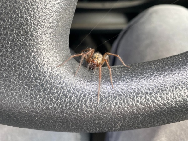 And That’s What I Call a Bad Day