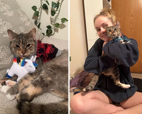 Rescued animals finding forever homes are filling our hearts with hope