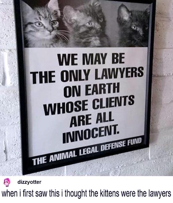 Cheesy Twisted Hump Day Memes for Work Sucks Morning Laughs