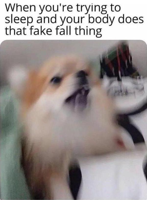 Cheesy Twisted Hump Day Memes for Work Sucks Morning Laughs