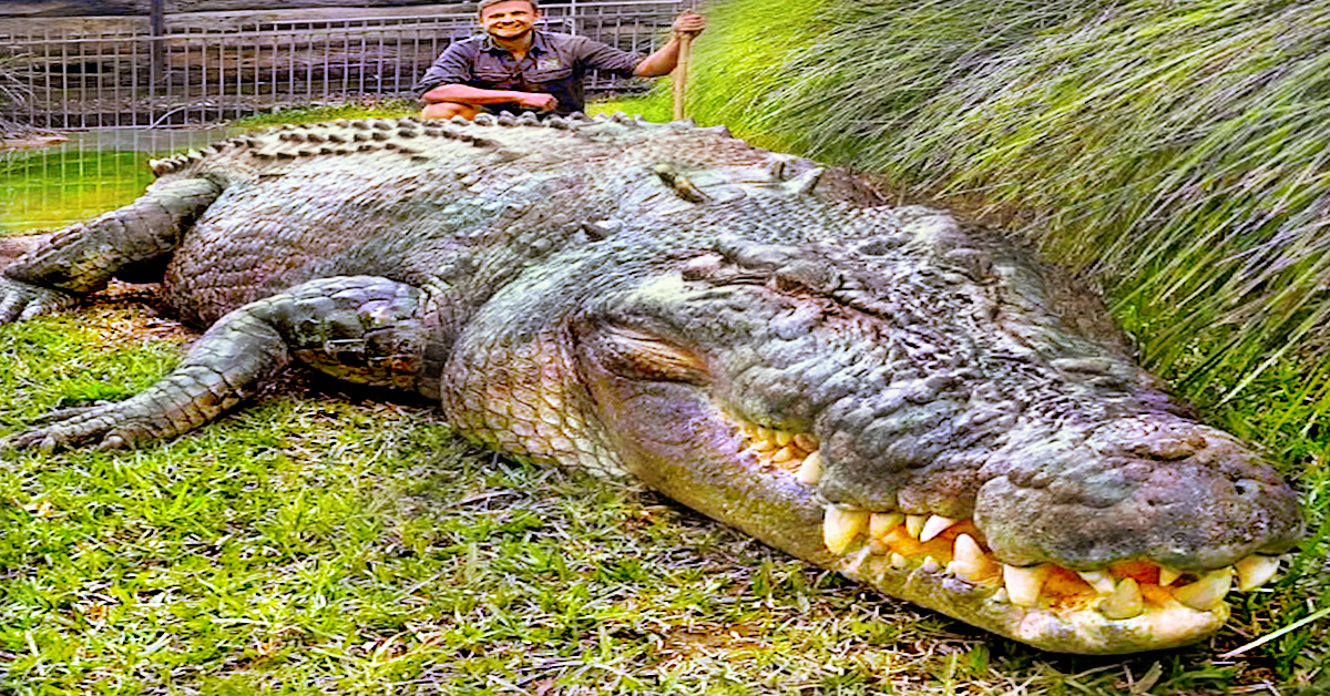 Hot Girls | Sexy Girl Pics | Hot Babes & Chicks - theCHIVE