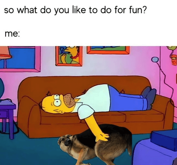 Introverted memes to curl up with as the weekend kicks off