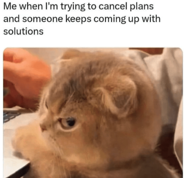 Introverted memes to curl up with as the weekend kicks off