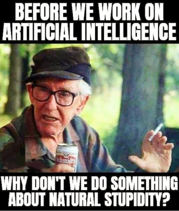 Mind-LESS Memes Best Dumb Thoughts Funny Randomness Photo Captions