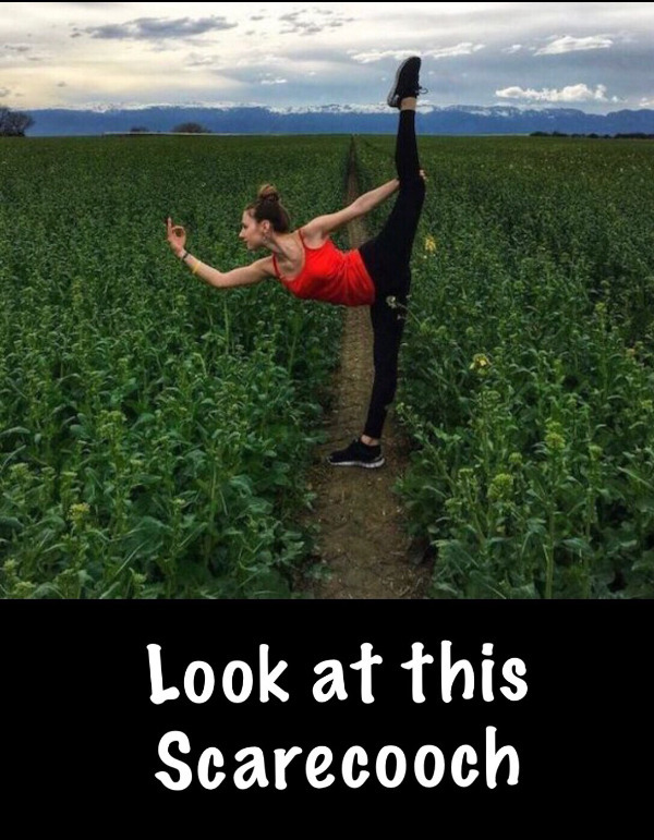 Mind-LESS Memes Best Dumb Thoughts Funny Randomness Photo Captions