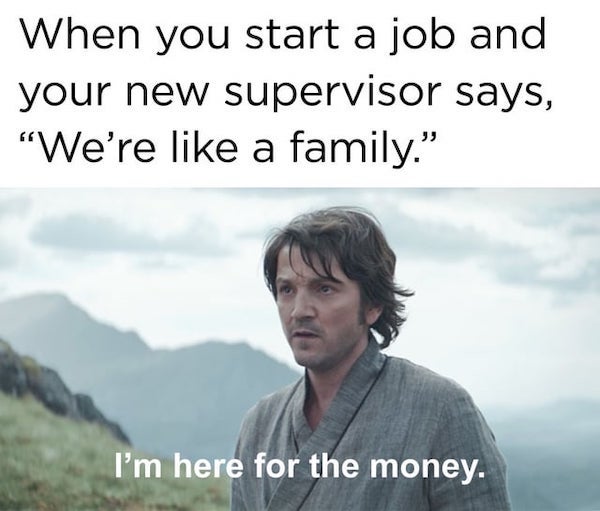 STAR WARS Memes May the 4th Be With You 2024 Best Compilation Photos