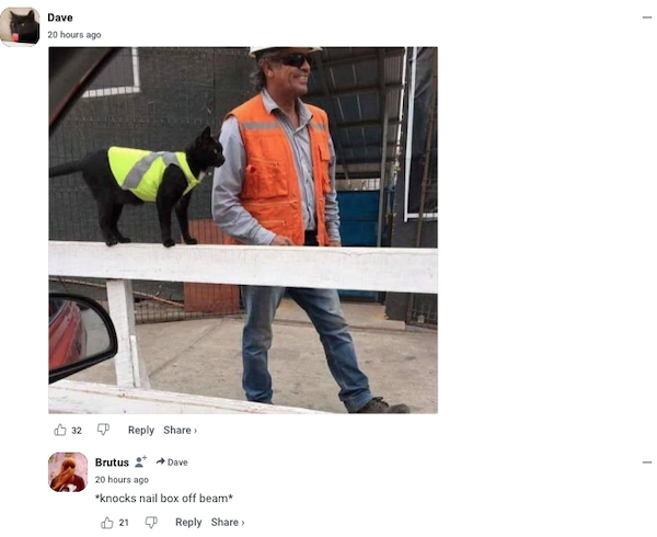 Hilarious comments straight from theCHIVE this week