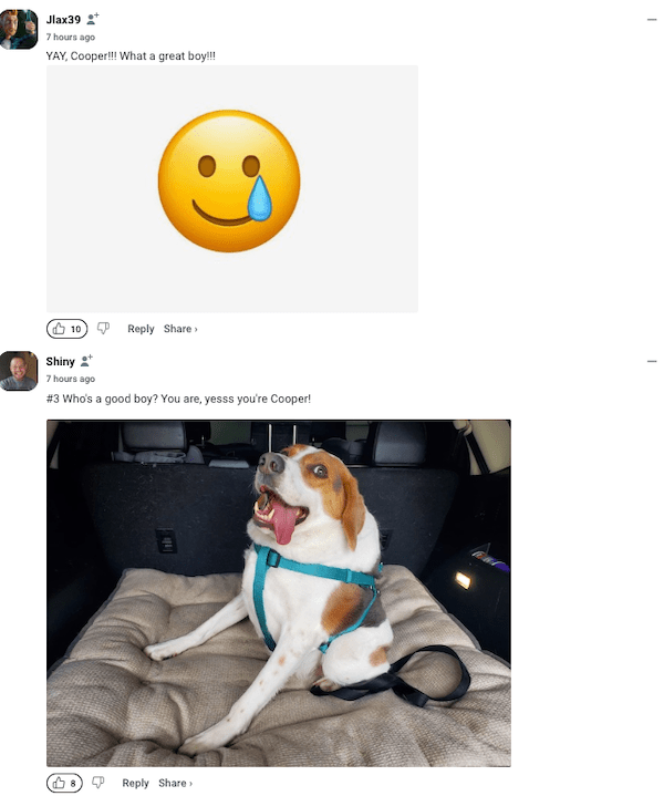Hilarious comments straight from theCHIVE this week