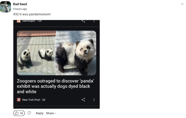 Hilarious comments straight from theCHIVE this week