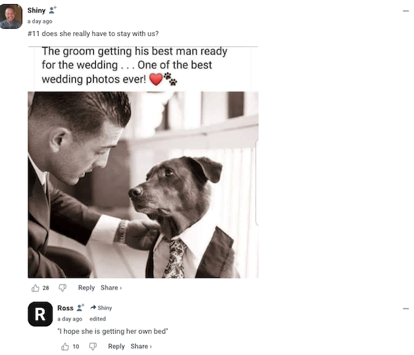 A huge collection of all the funniest comments from the past week