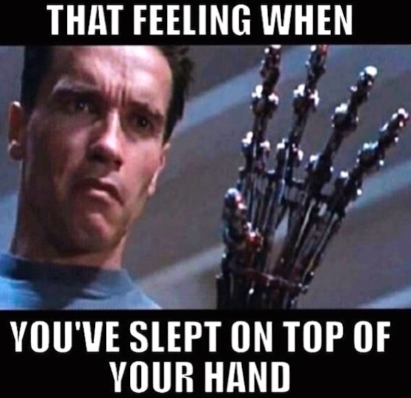 Terminator Movie Memes and Funny T2 GIFs Best Action Flick List T-1000