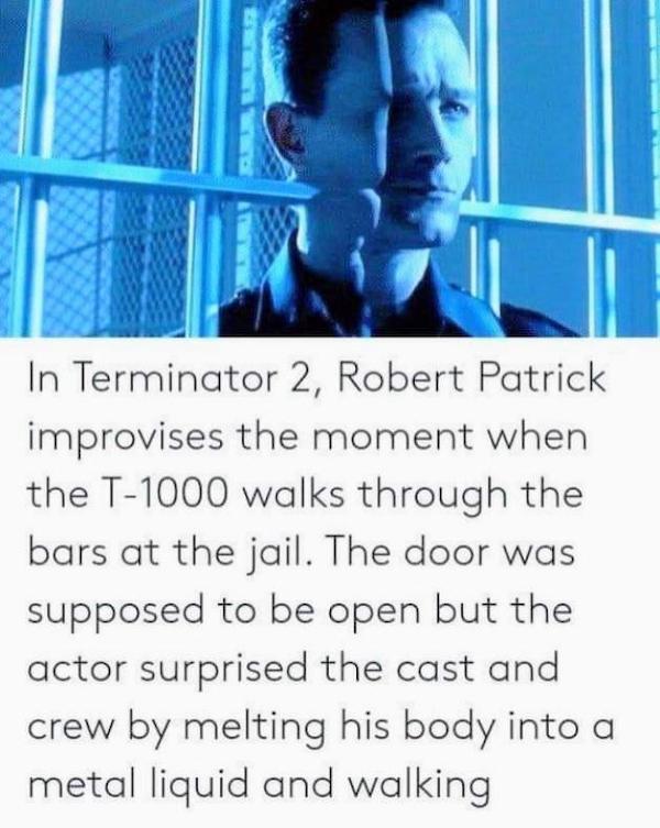 Terminator Movie Memes and Funny T2 GIFs Best Action Flick List T-1000