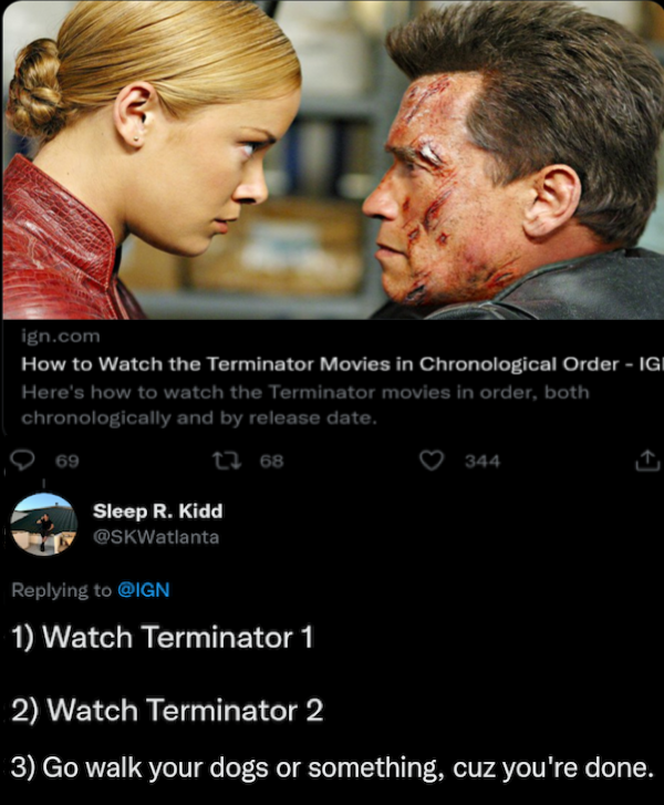 Terminator Movie Memes and Funny T2 GIFs Best Action Flick List T-1000