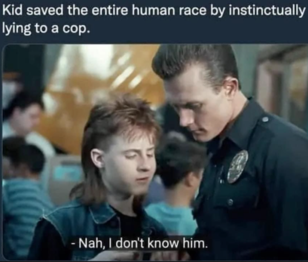 Terminator Movie Memes and Funny T2 GIFs Best Action Flick List T-1000