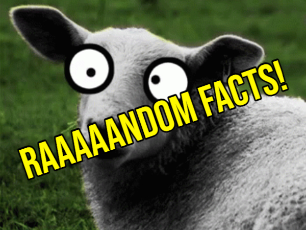 Random Facts Always Bring the Knowledge