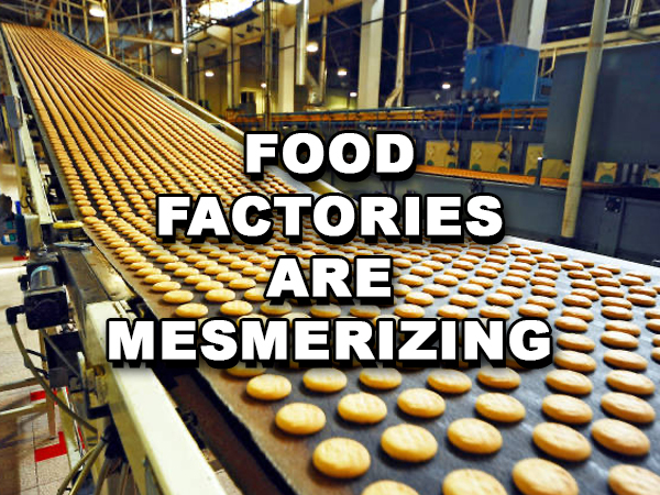 Food & Drinking Memes | Funny Food and Drinks Pics & Videos - theCHIVE