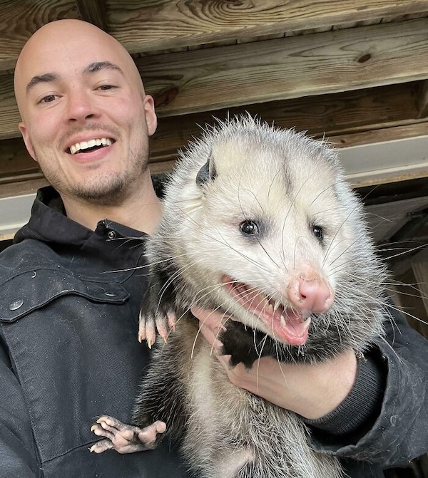 Wild animals want to go... where the people are...